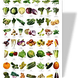 Nature Cards | Eco Friendly Games for Children | Nature Identification ...