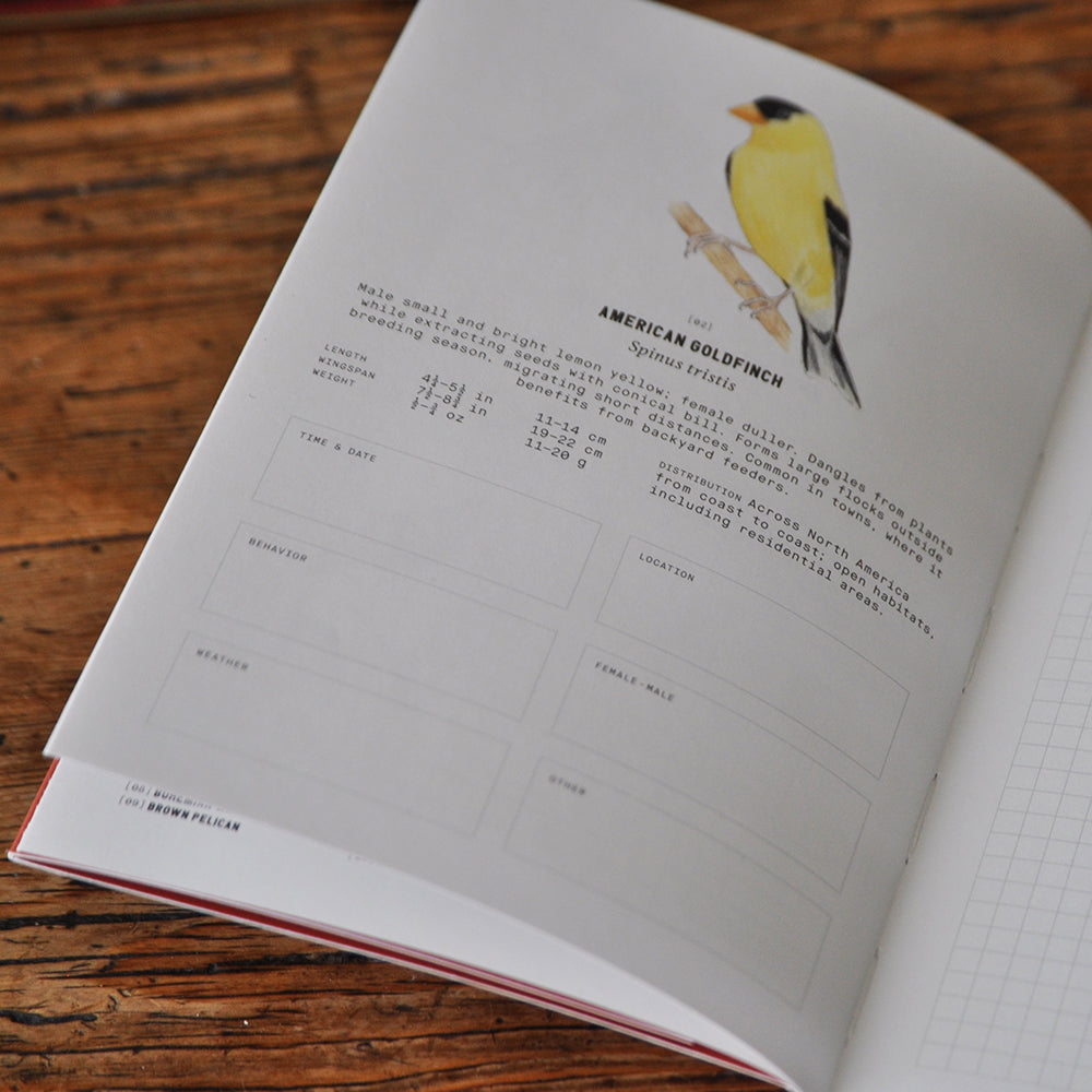 Backyard Birds: An Urban Birdwatching Logbook with Stickers – Imagine ...