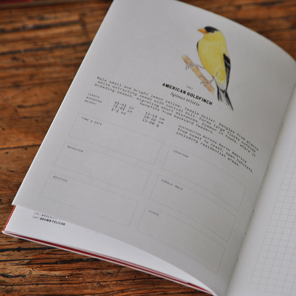Backyard Birds: An Urban Birdwatching Logbook with Stickers – Imagine ...