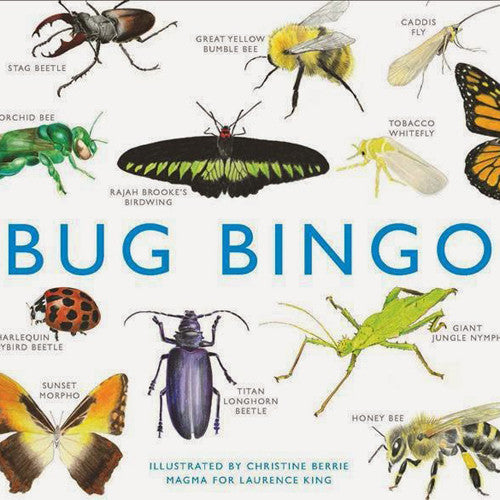 Bug Bingo | Classic Games | Board Games for Kids | Education Tools ...