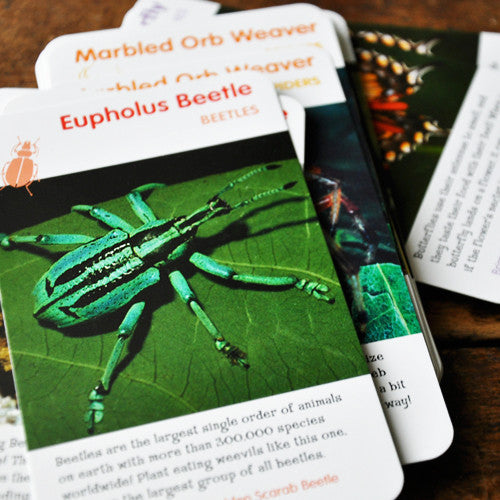 Wild Cards Playing Cards | Children's Card Games | Learning Ideas for ...