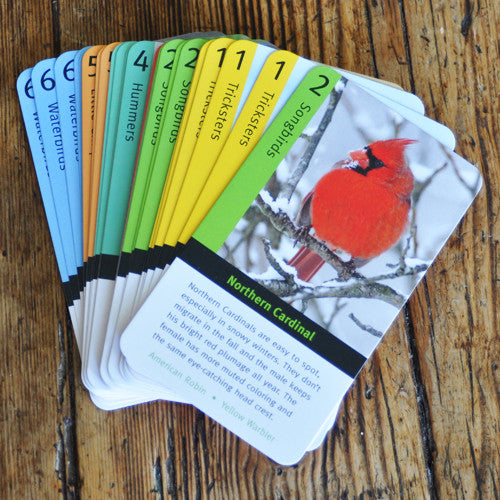 Wild Cards Playing Cards and Book | Children's Card Games | Learning ...
