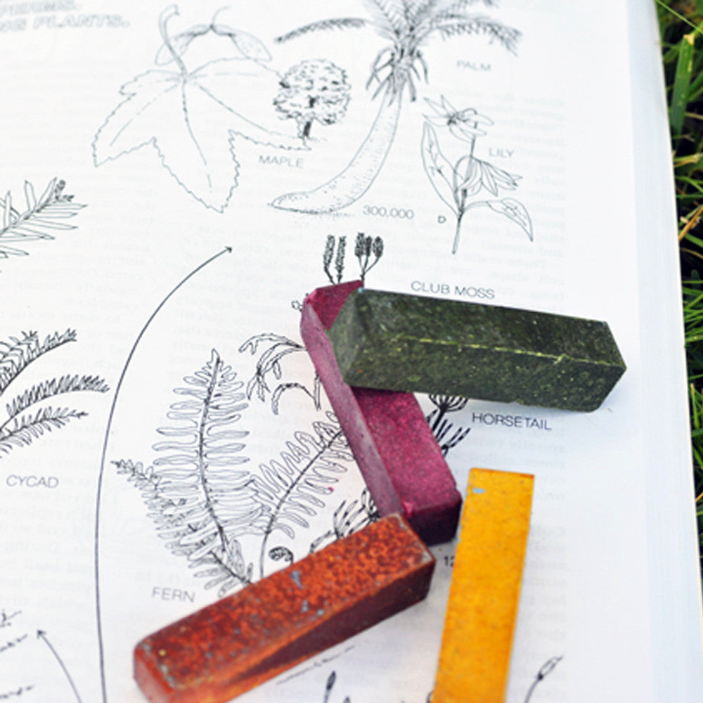 The Botany Coloring Book | Botany Book | Learning Tools – Imagine Childhood