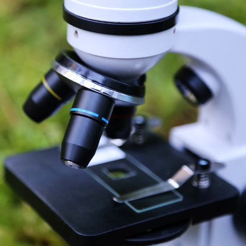 Dual Study Microscope | Microscopes for Kids | Children's Exploration ...