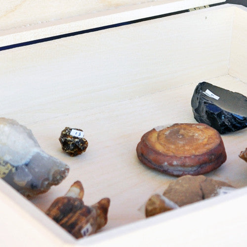 Rock Box | Outdoor Exploration for Kids| Outdoor Learning Activities ...