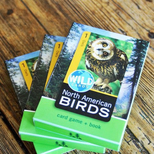 Wild Cards Playing Cards and Book | Children's Card Games | Learning ...